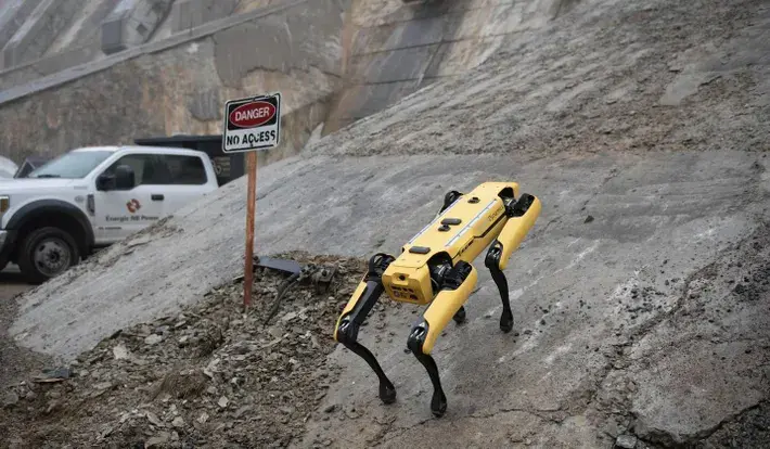 Robot Dogs for Dangerous and Hard-to-Reach Areas - Robots Shop
